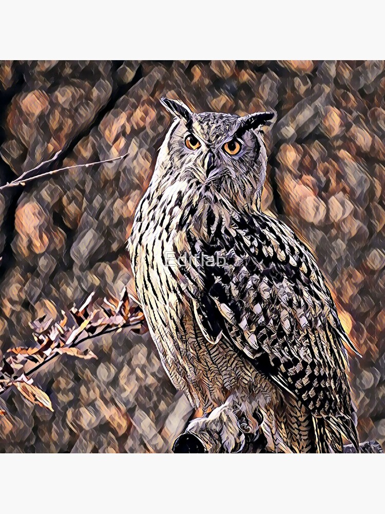 "Hawaiian Owl" Sticker for Sale by Editlab | Redbubble
