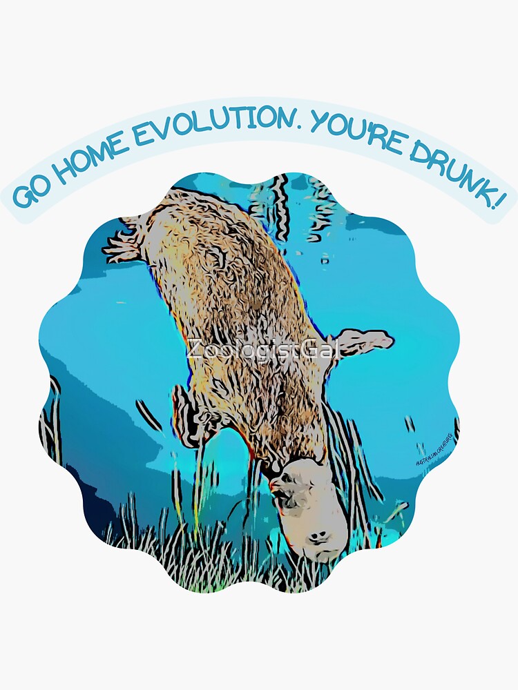 "Go home evolution, you're drunk! Platypus" Sticker for Sale by ...