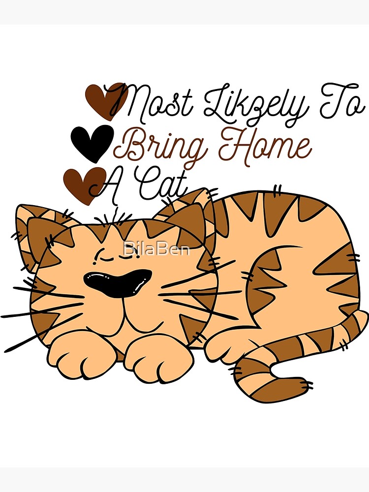 " most likely to bring home a cat, lovely cat lover " Poster for Sale ...