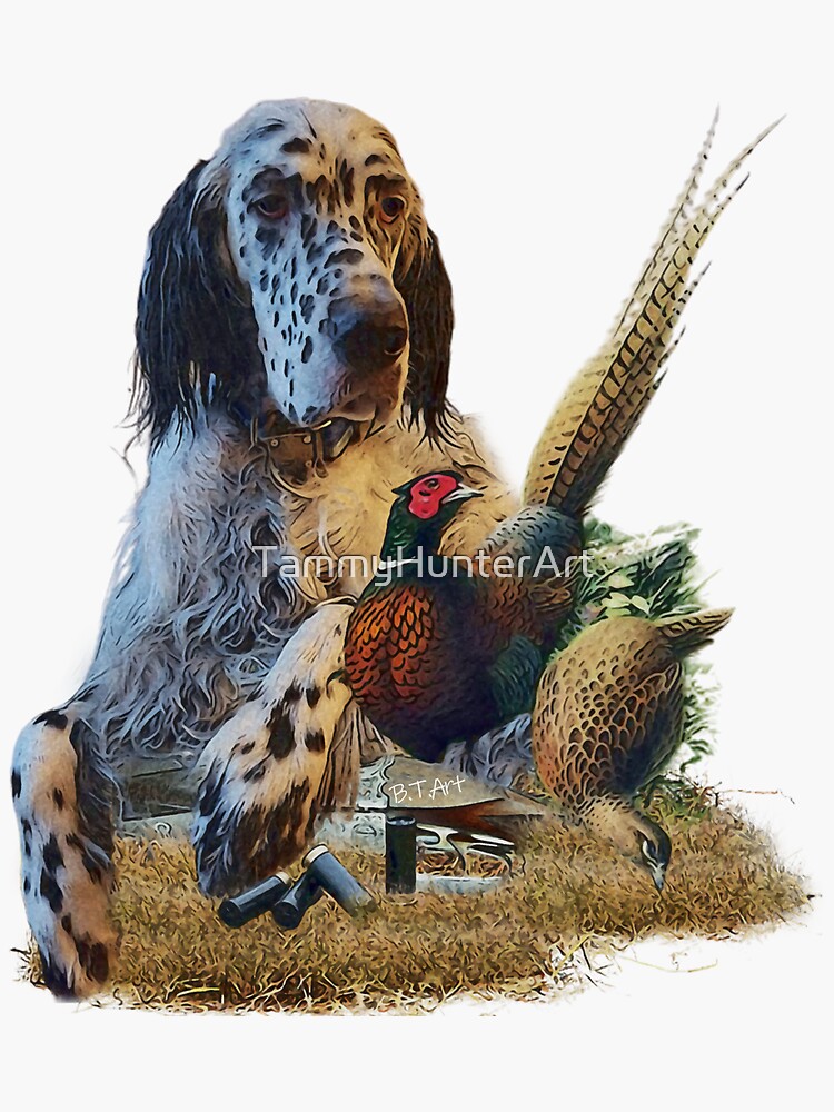 "English setter with pheasants, art" Sticker for Sale by TammyHunterArt | Redbubble