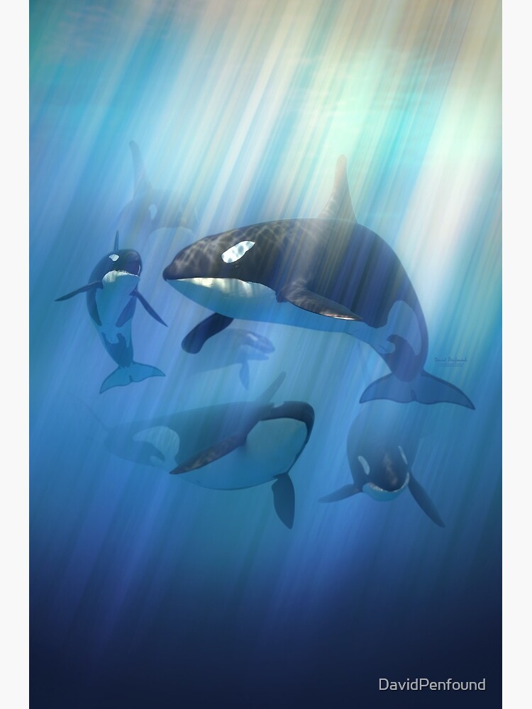 Orca Pod Premium Matte Vertical Poster sold by DelaynWelch | SKU ...