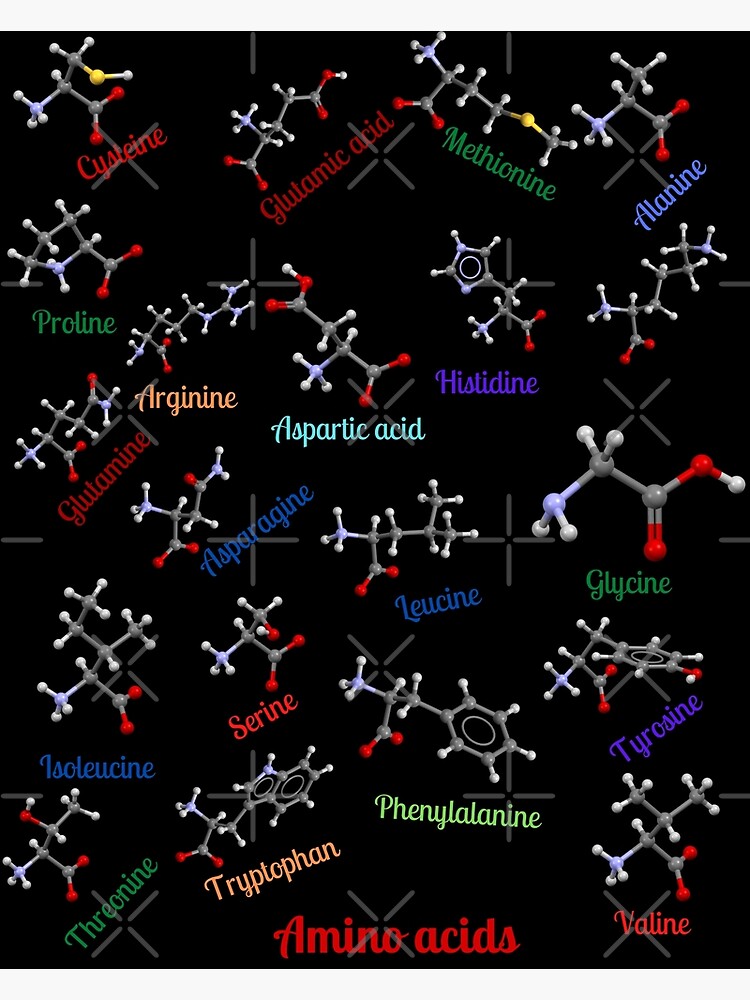 "Colorful Amino acids 3d model in ball and sticks" Poster for Sale by ...