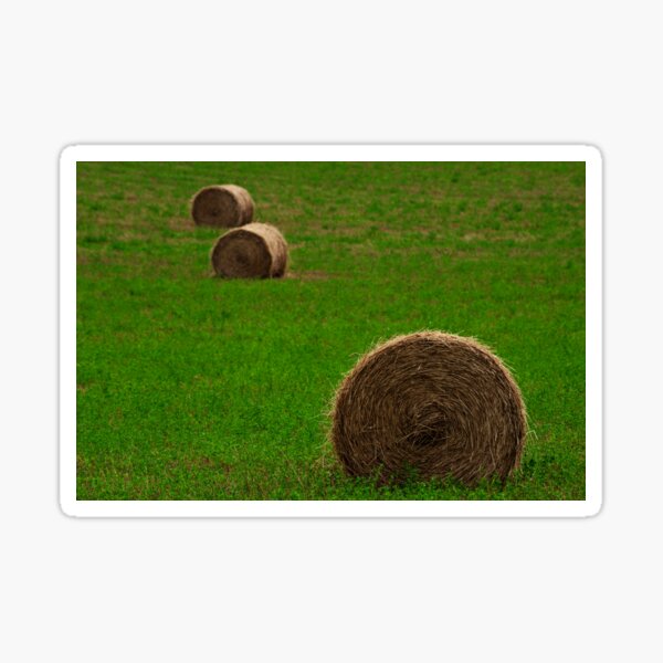"golden hay bales, green field" Sticker for Sale by camillaskye | Redbubble