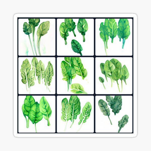 "Spinach Art / Creamed Spinach / Thanksgiving art " Sticker for Sale by ...