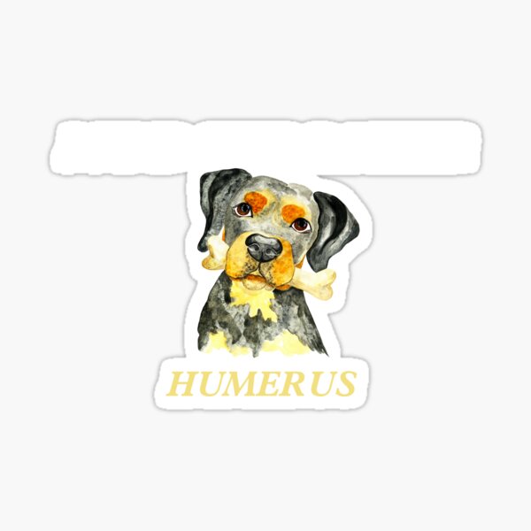 "funny cute dog i find this rather humerus" Sticker for Sale by midoxzz ...