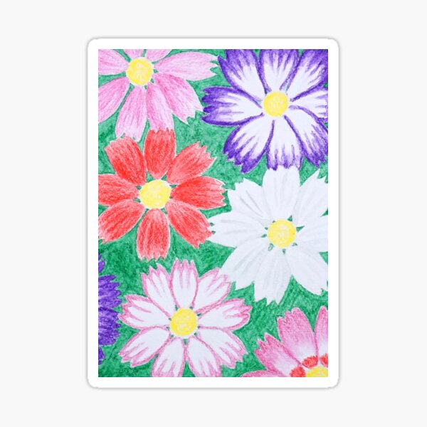 "Cosmos Flowers" Sticker for Sale by YuNikDraw | Redbubble