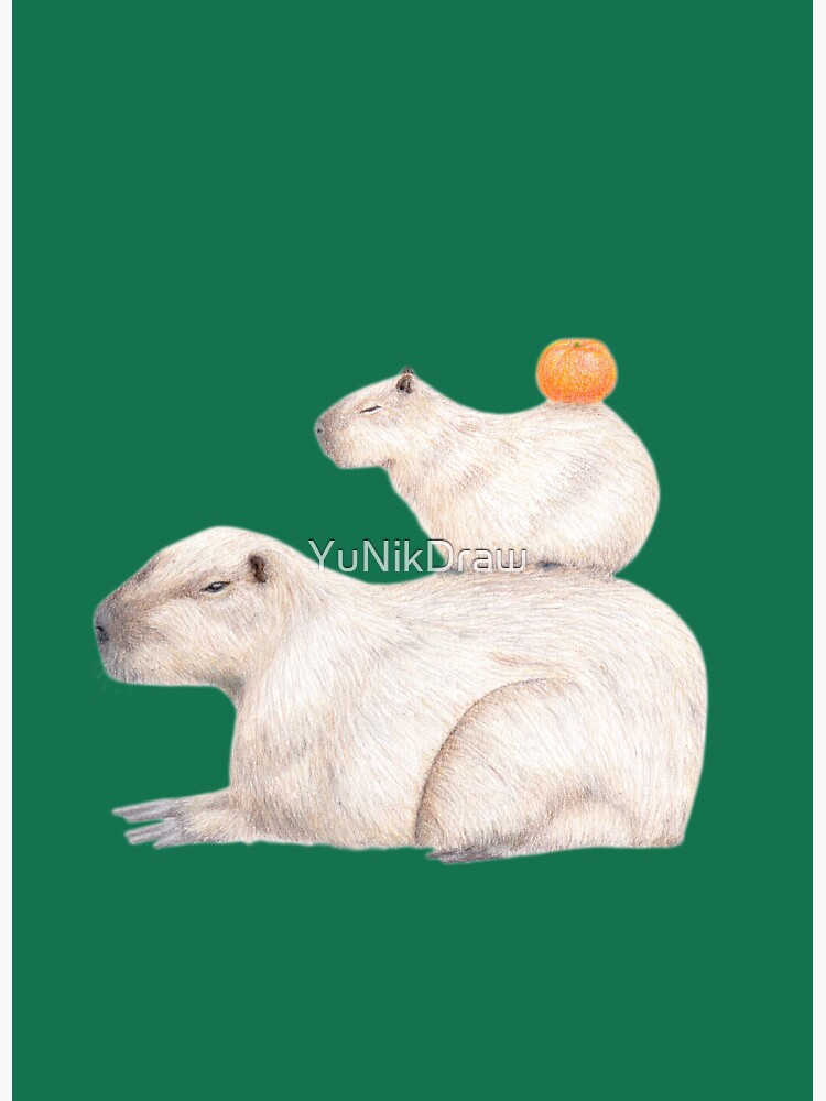 "Capybara - Green" Sticker for Sale by YuNikDraw | Redbubble