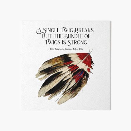 "Native American Proverbs: “A Single Twig Breaks, but the Bundle of ...
