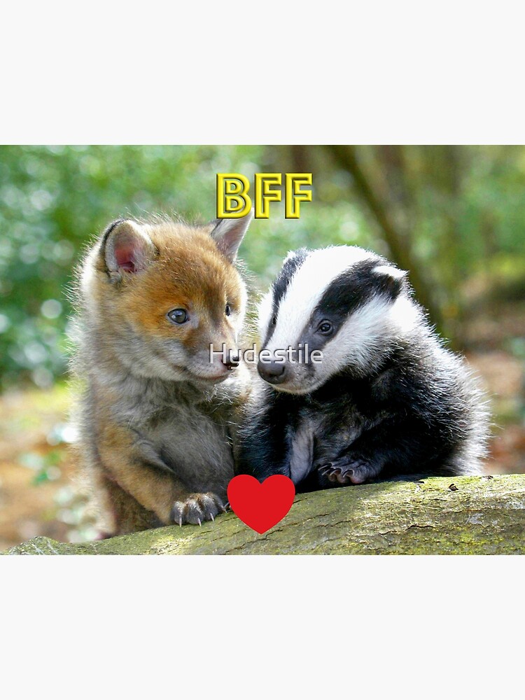 "Badger and Fox Cubs Hydestile BFF Best Friends Forever" Poster for ...
