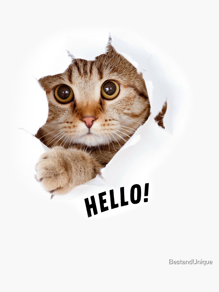 "Cute Cat Hello Sticker " Sticker for Sale by BestandUnique | Redbubble