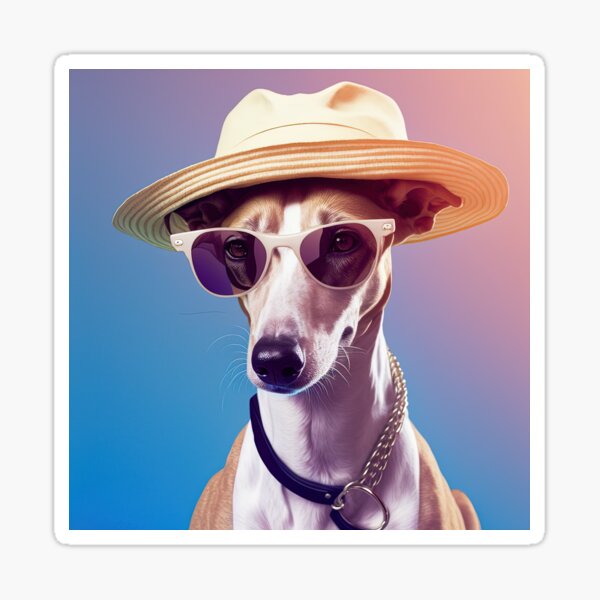 "Benny Whippet" Sticker for Sale by zoomzoomies | Redbubble