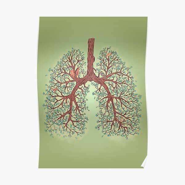 "Lungs" Poster for Sale by yunnn | Redbubble