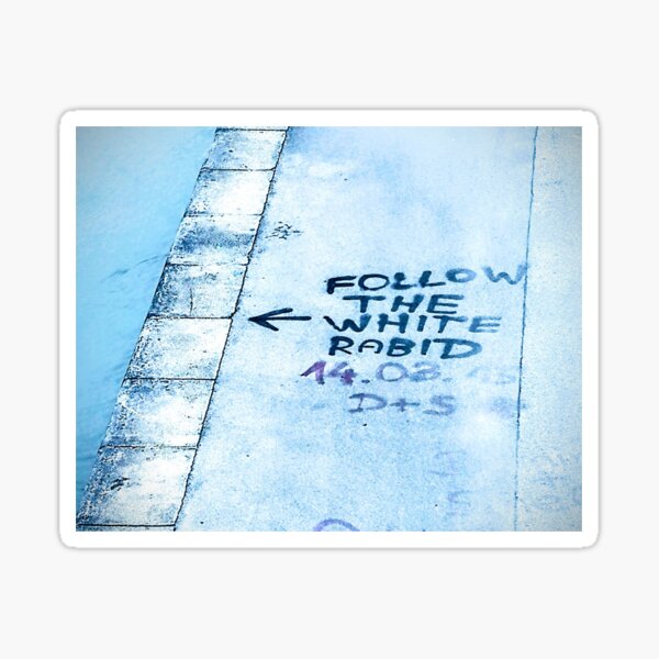 "Follow the Rabbit Graffiti " Sticker for Sale by BoxgroveLatte | Redbubble