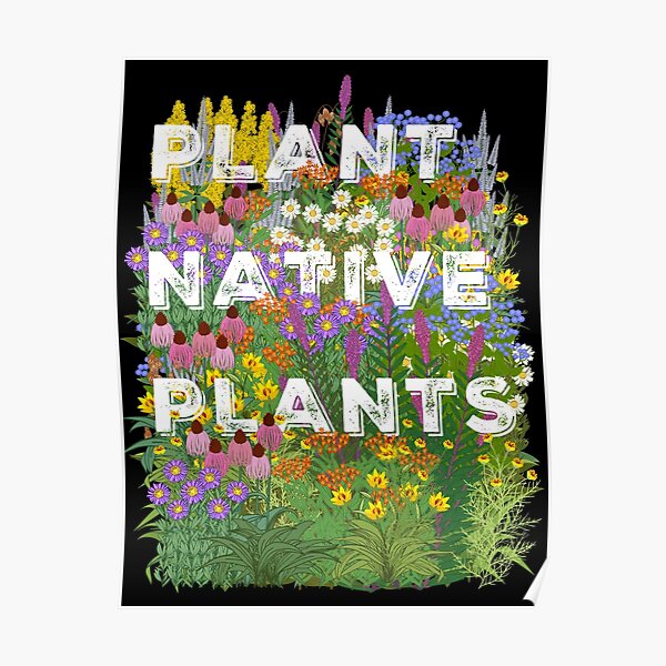 "PLANT NATIVE PLANTS" Poster for Sale by thisohiolife | Redbubble