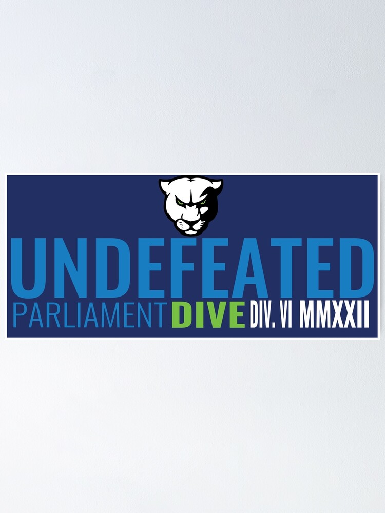 "Dive Undefeated 2022" Poster for Sale by ParliamentPool | Redbubble