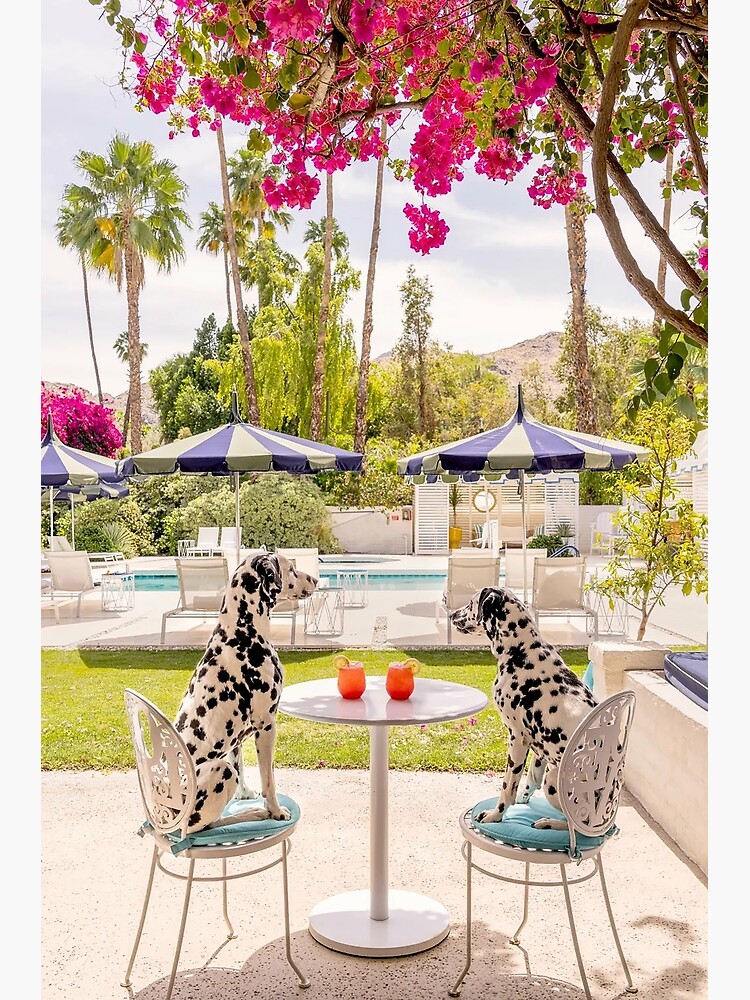 "Cheers Dog" Poster for Sale by romainekuvalis | Redbubble