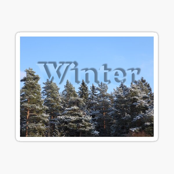 "Winter is coming - snow on trees" Sticker for Sale by Sansiona | Redbubble