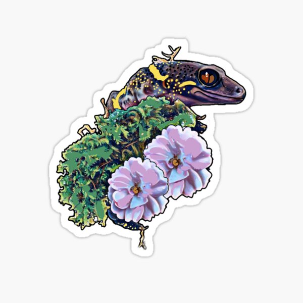 "Moss Gecko - Chinese Cave Gecko" Sticker for Sale by ElegantLegs ...