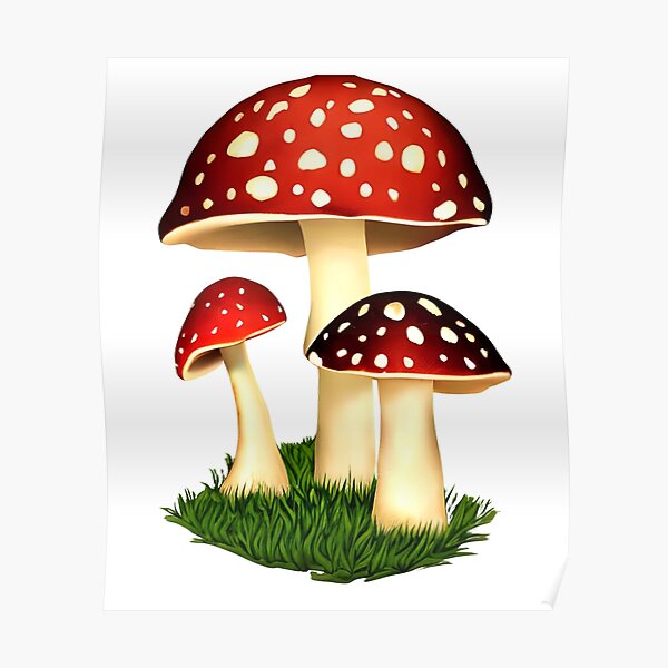 "Mushroom Fungi Artwork" Poster for Sale by CorneliusDesign | Redbubble