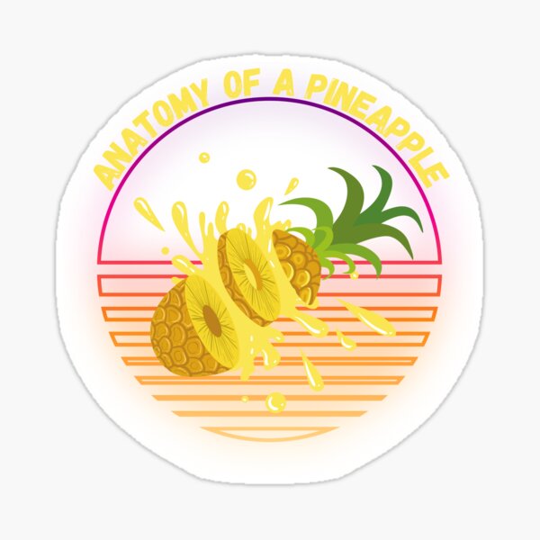 "funny - Anatomy Of A Pineapple" Sticker for Sale by OchihaMadara ...