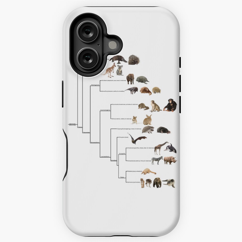 "Mammals Cladogram" Poster for Sale by GraceT26 | Redbubble