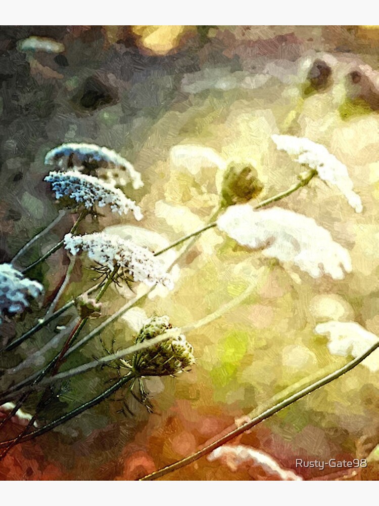 "Queen Anne's Lace" Sticker for Sale by Rusty-Gate98 | Redbubble