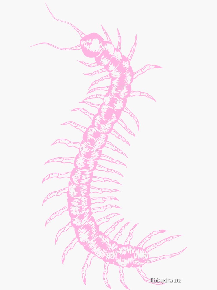 Pink Centipede Sketch Sticker For Sale By Libbydrawz Redbubble
