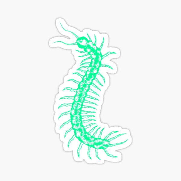 "green centipede sketch" Sticker for Sale by libbydrawz | Redbubble
