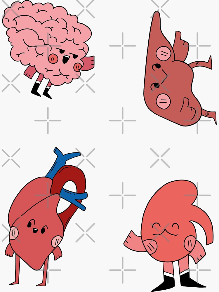 "Cute Anatomy Pack - Human body organs Pack, Labeled Pack" Sticker for ...