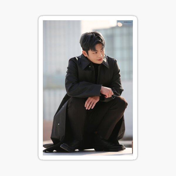 "SEO IN GUK" Sticker for Sale by VictoriaKorean | Redbubble