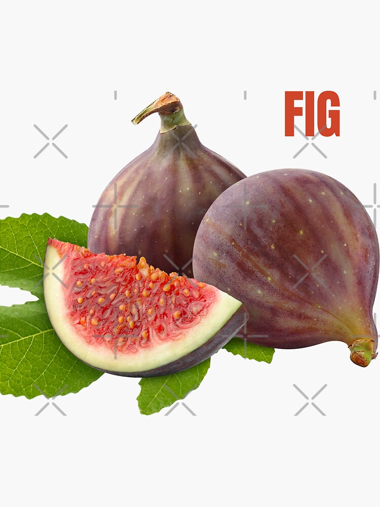 "Fig sticker pack" Sticker for Sale by JA57 | Redbubble