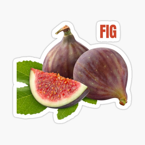 "Fig sticker pack" Sticker for Sale by JA57 | Redbubble
