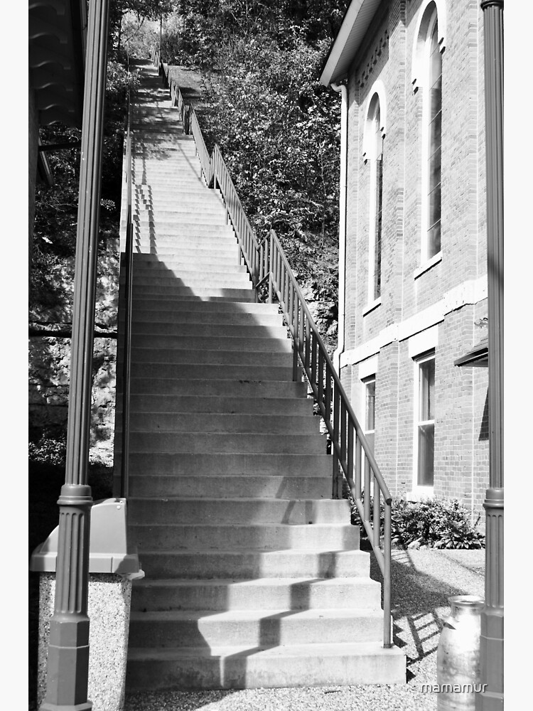"Galena Staircase" Poster for Sale by mamamur | Redbubble