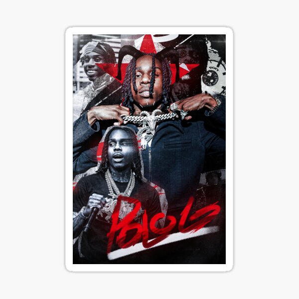 "Polo-g cover collage" Sticker for Sale by Juanfree | Redbubble