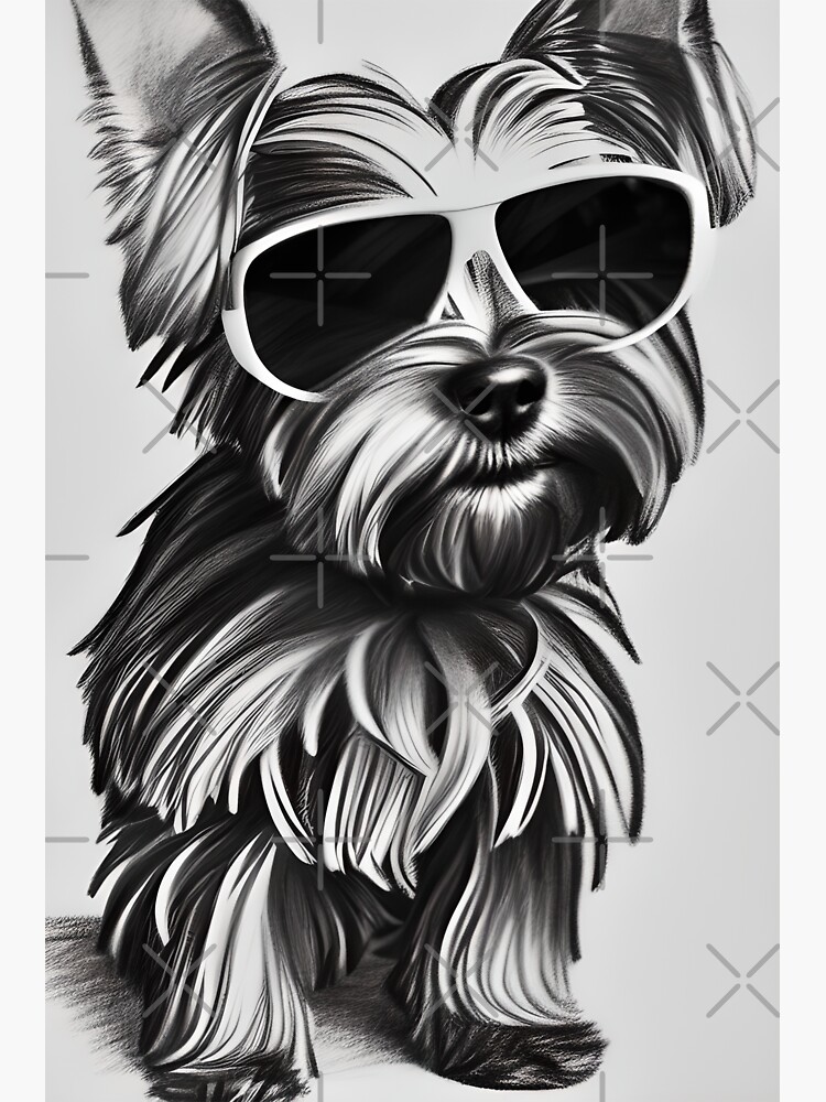 "Cute Yorkie Drawing wearing Sunglasses, Pencil Sketch, Best Yorkshire ...