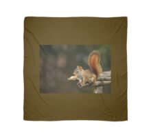 "Surprised Red Squirrel With Peanut" by Debbie Oppermann | Redbubble