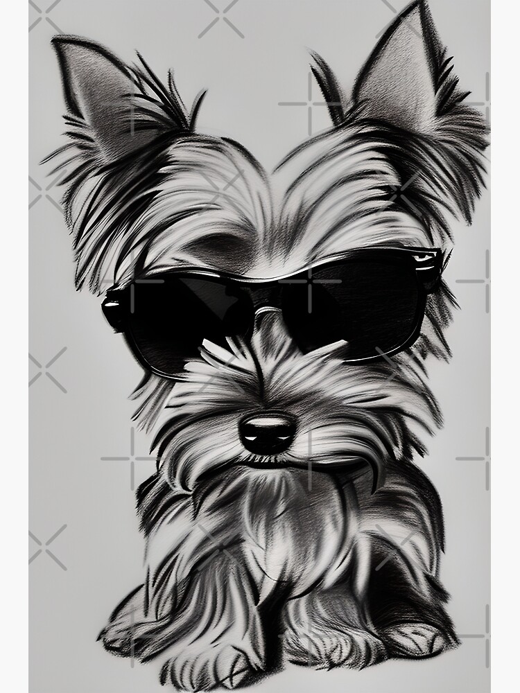 "Supercool Yorkie Drawing Black and White, Best Yorkshire Terrier Gifts ...