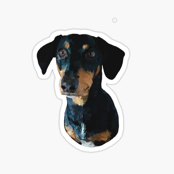 "Walter the Sausage Dog" Sticker for Sale by JessMade50 | Redbubble