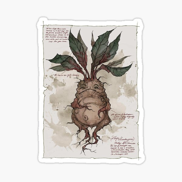 "definition of mandrake - spell magic" Sticker for Sale by fordstrosin5 ...