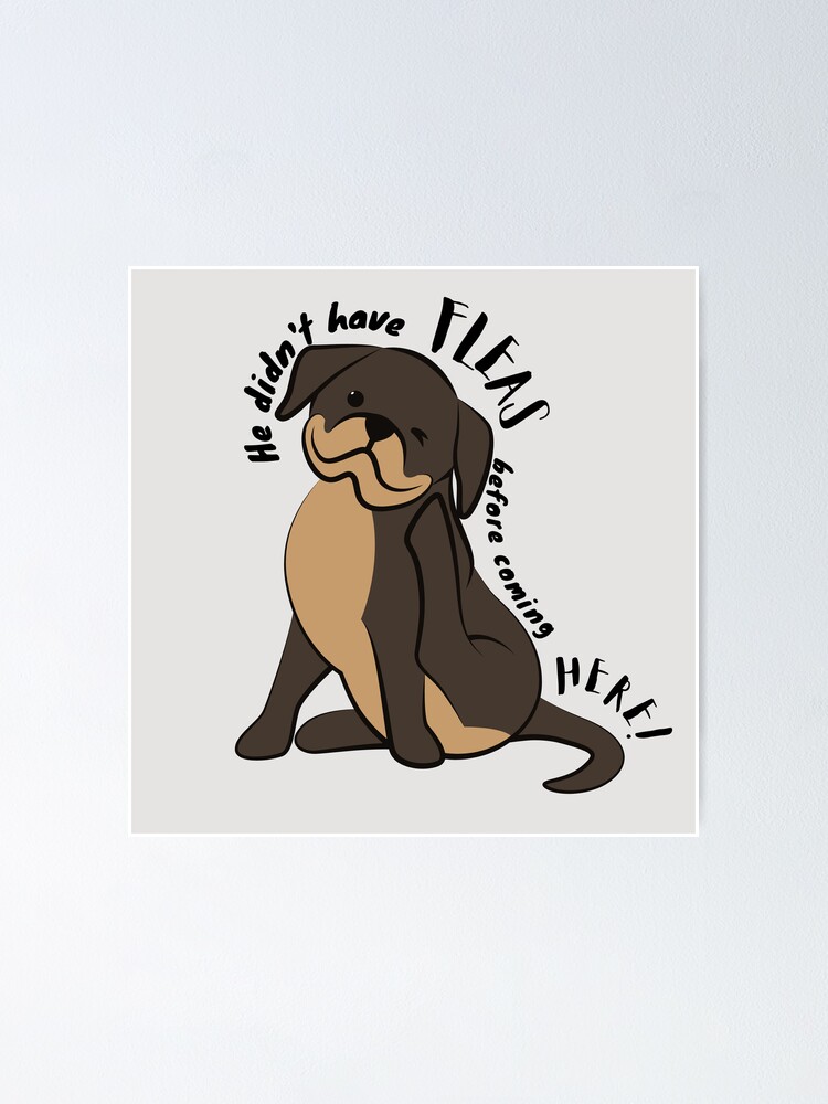 "He didnt have FLEAS before coming here! - Funny quote, dog with fleas ...