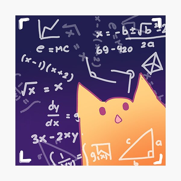 "cat confused meme" Photographic Print for Sale by akariaikawa | Redbubble