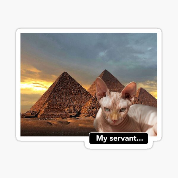 "Egyptian Sphynx cat near pyramids" Sticker for Sale by Fakhri343 ...