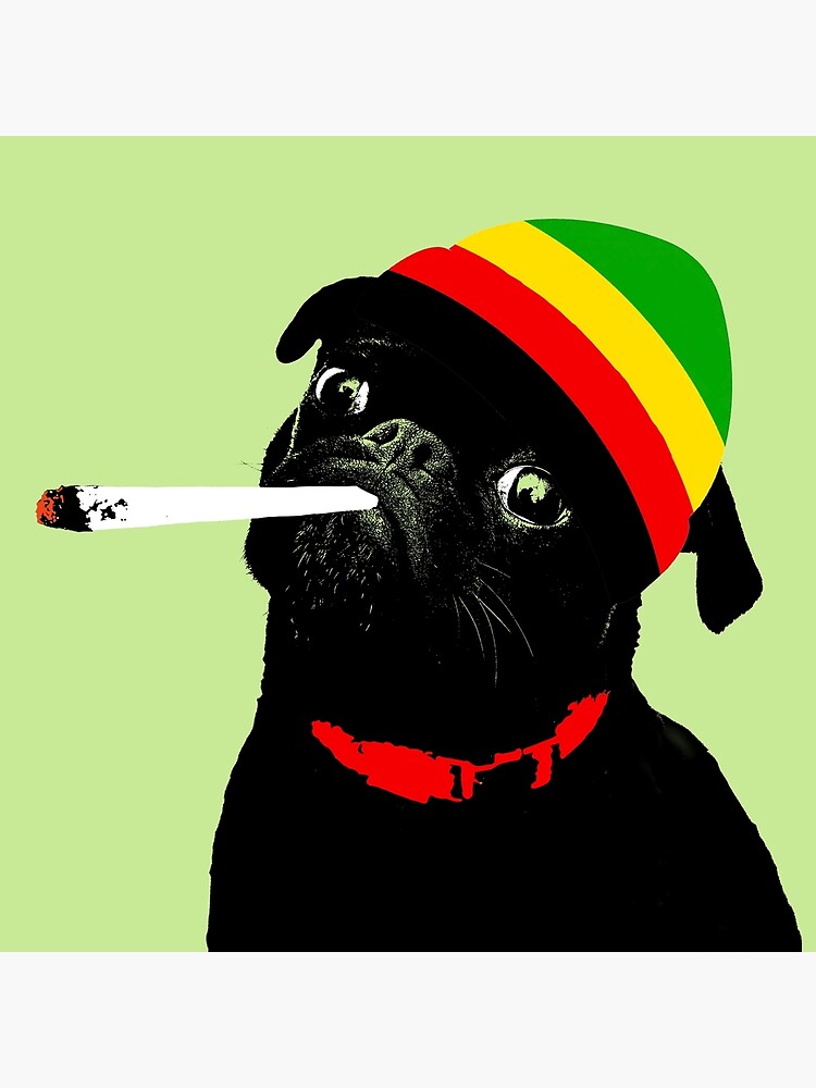"Stoner Dog Rasta Pug Design in green - Pug Dog Pet Pop Art - Animal ...