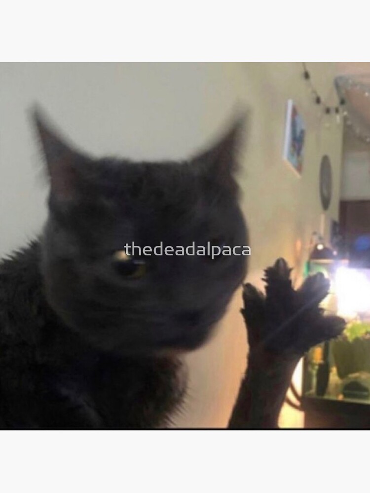 "dabloon cat" Sticker for Sale by thedeadalpaca | Redbubble