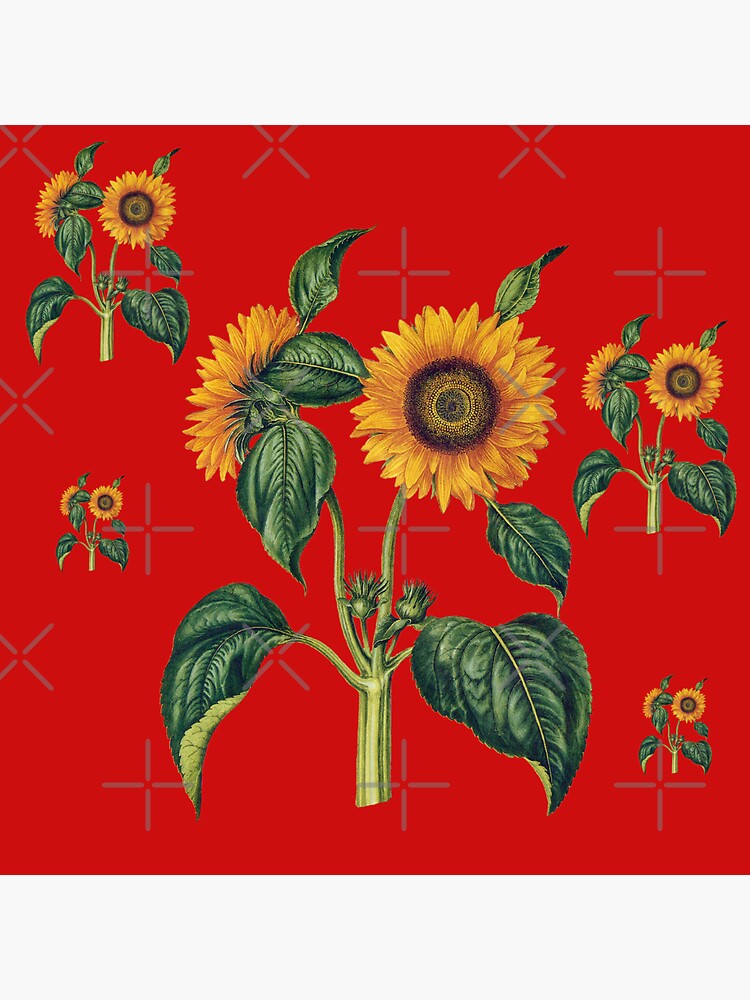 "Aesthetic vsco summer flower, Nature True Color" Sticker for Sale by ...