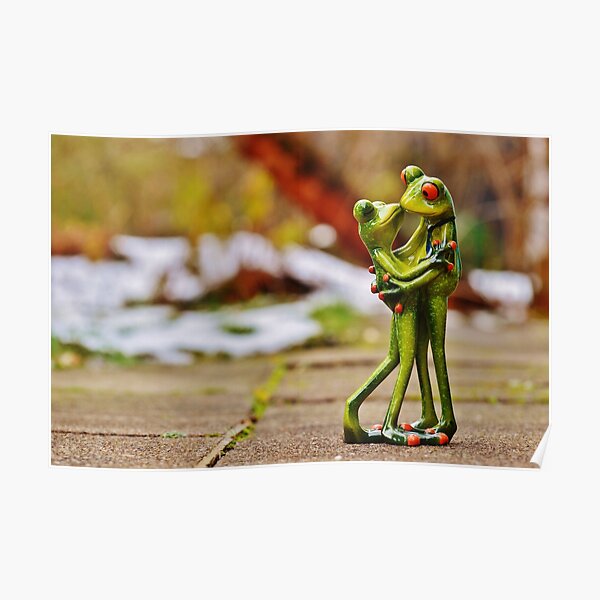 "Froggy Passion - Funny Frog Love Meme" Poster for Sale by Homely ...