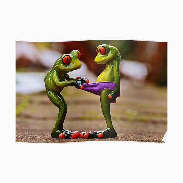 "Froggy Mischief - Funny Frog Love Meme" Poster for Sale by Homely ...