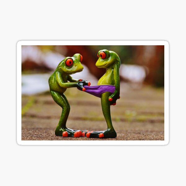 "Froggy Mischief - Funny Frog Love Meme" Sticker for Sale by Homely ...