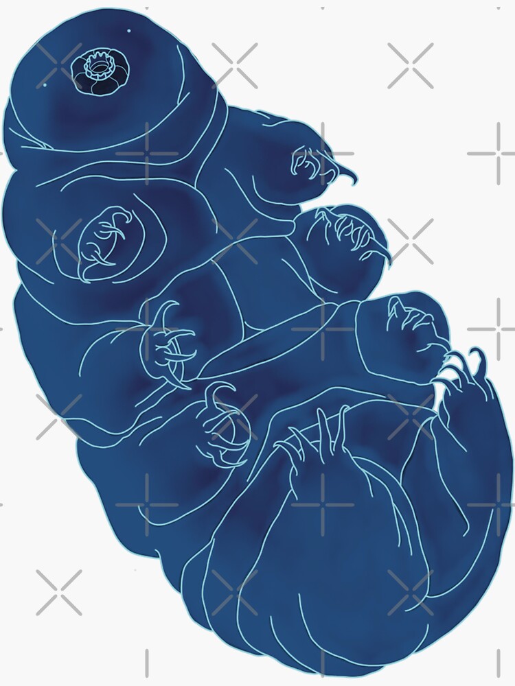 "Digitally Hand-Drawn Blue Tardigrade Water Bear" Sticker for Sale by ...