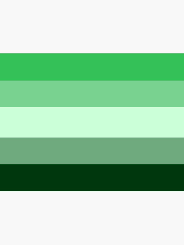"Aromantic Pride Flag" Sticker for Sale by NoriCookie16 | Redbubble